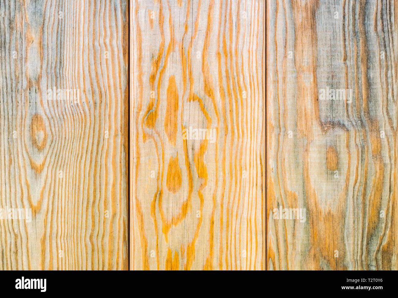 Wood texture background, natural tree Stock Photo - Alamy