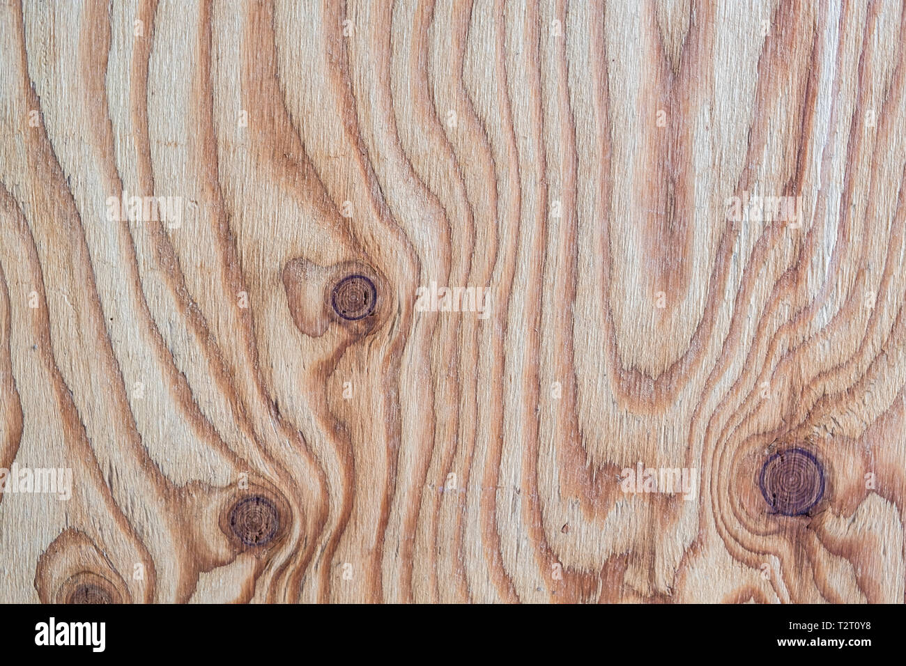 Wood texture background, natural tree Stock Photo - Alamy