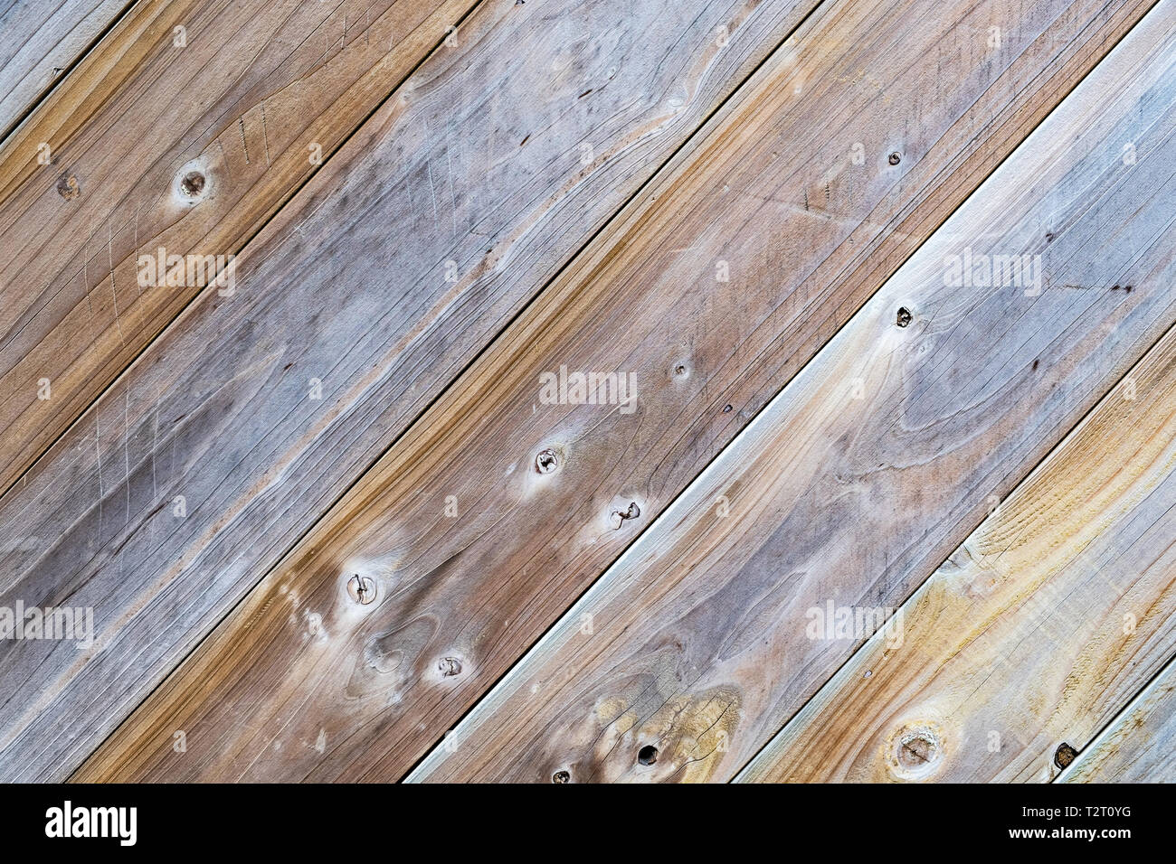 Wood texture background, natural tree Stock Photo - Alamy
