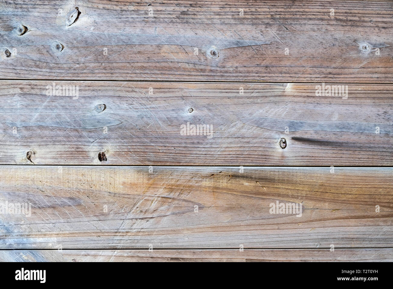 Wood texture background, natural tree Stock Photo - Alamy