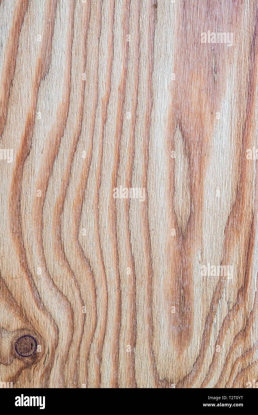 Wood texture background, natural tree Stock Photo - Alamy