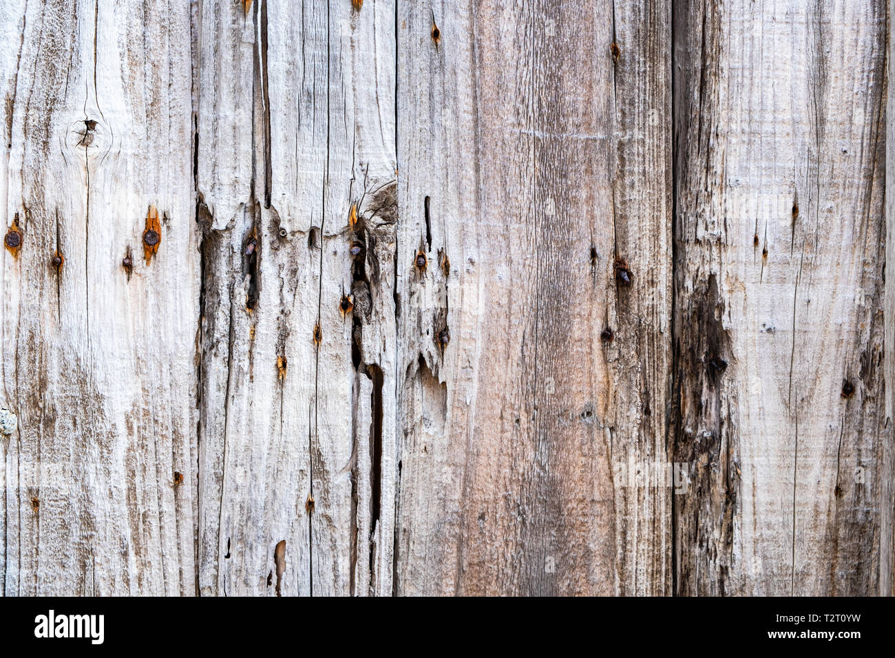 Wood texture background, natural tree Stock Photo - Alamy