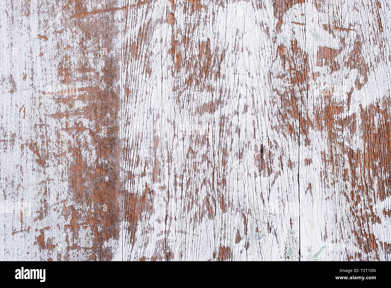 Wood texture background, natural tree Stock Photo - Alamy