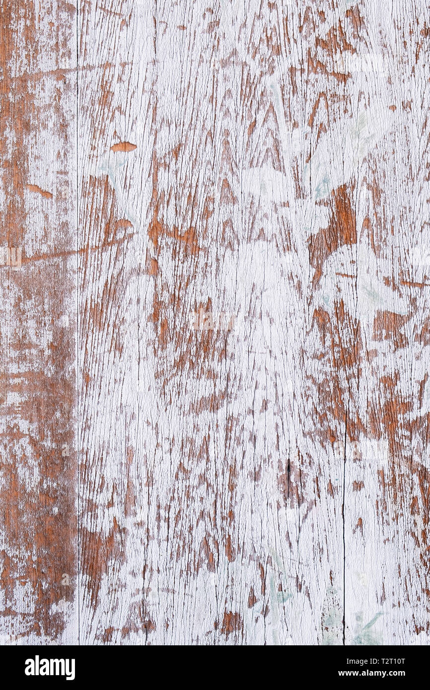 Wood texture background, natural tree Stock Photo - Alamy