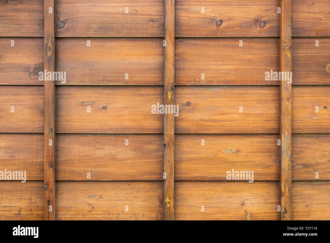 Wood texture background, natural tree Stock Photo - Alamy