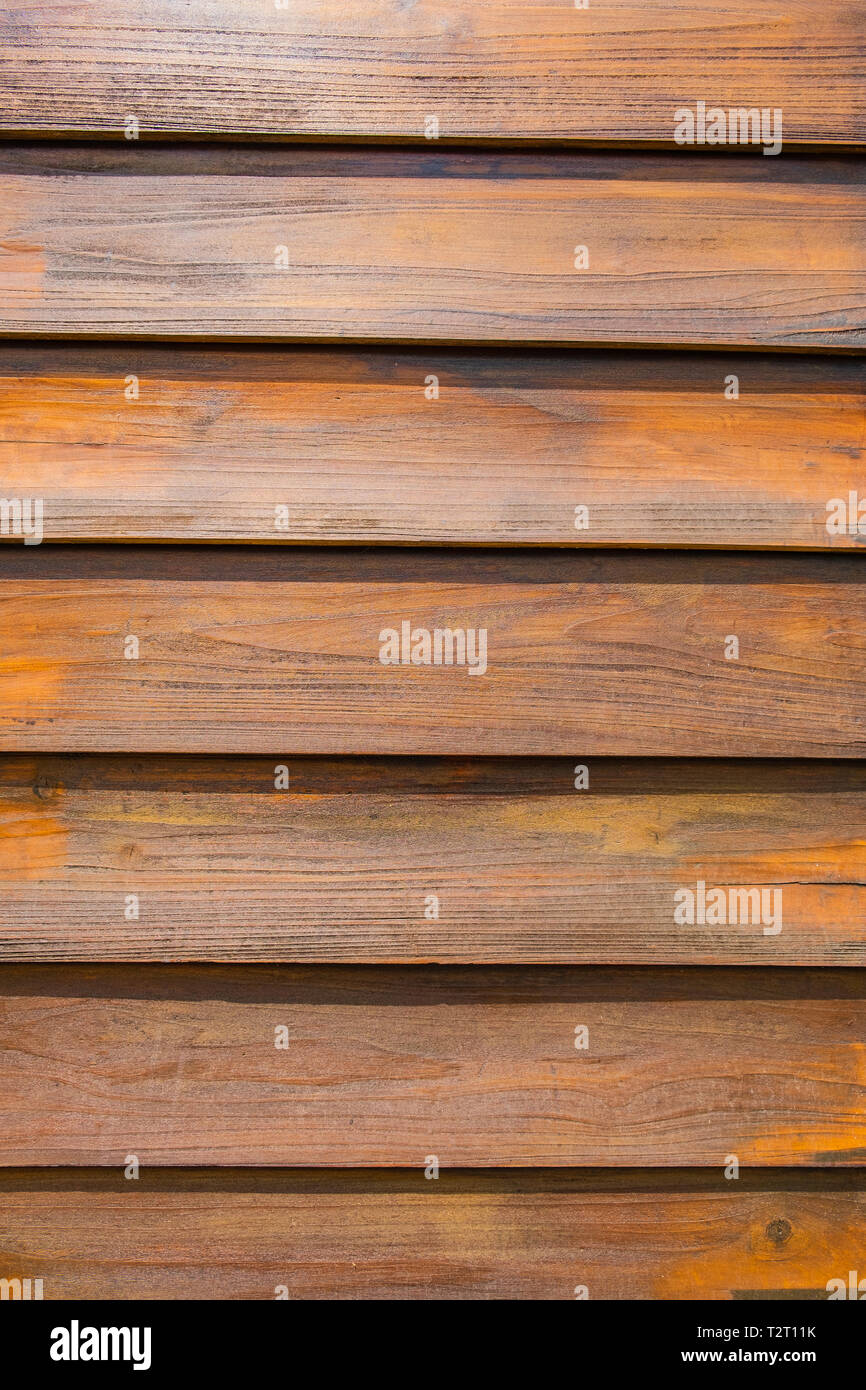 Wood texture background, natural tree Stock Photo - Alamy