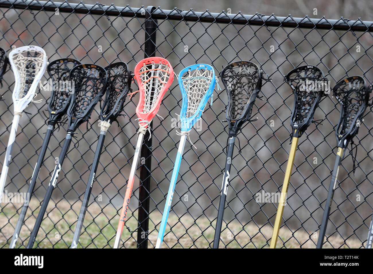 Lacrosse stick hi-res stock photography and images - Alamy