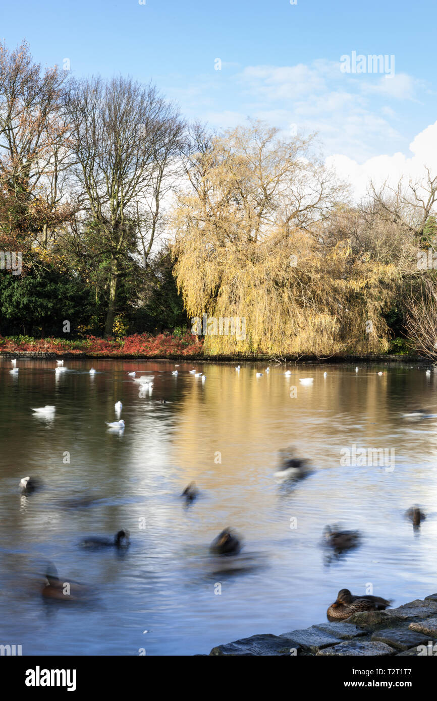 Ropner park hi-res stock photography and images - Alamy