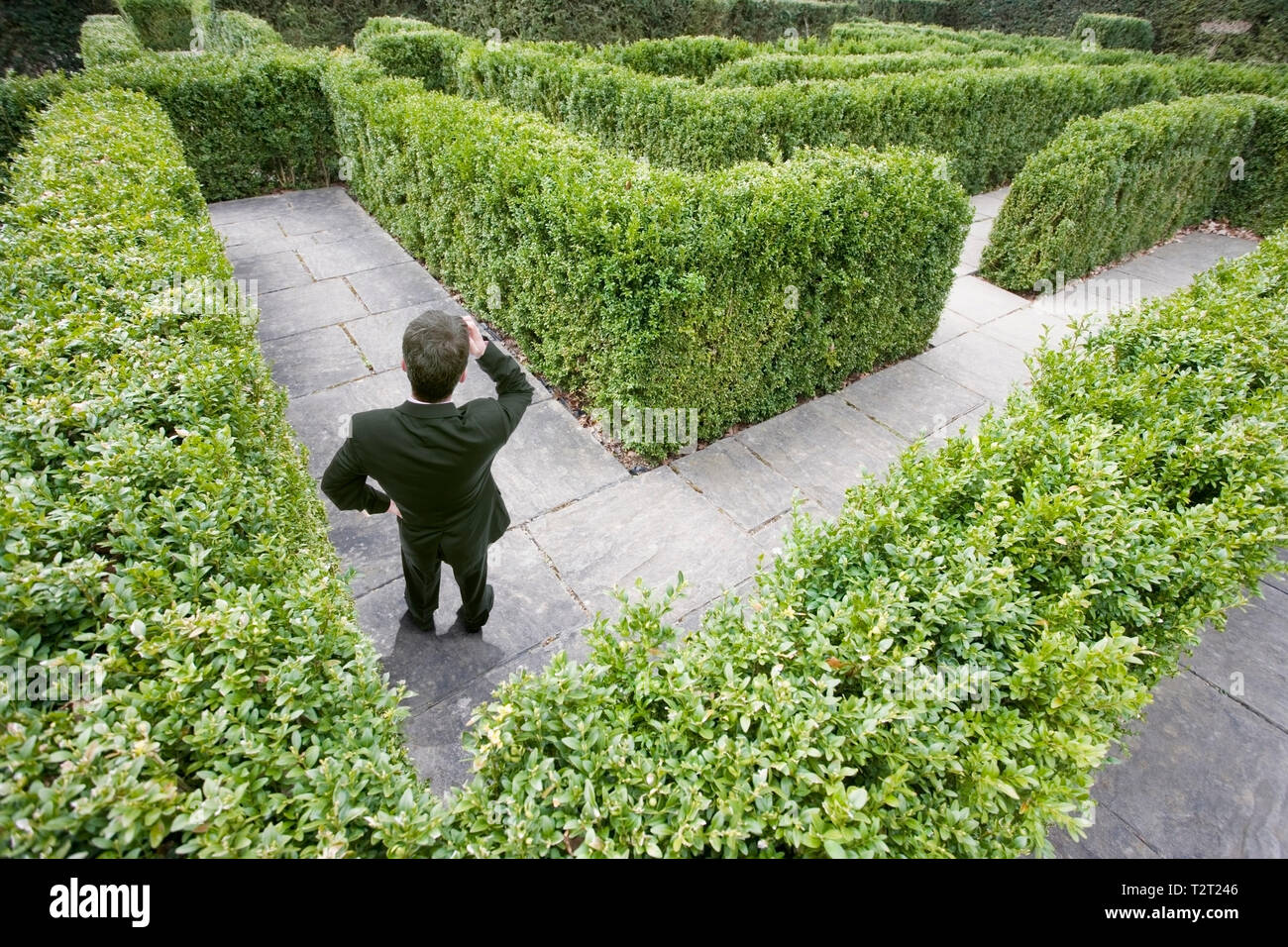 Top view of a caucasian businessman lost in a maze Stock Photo - Alamy