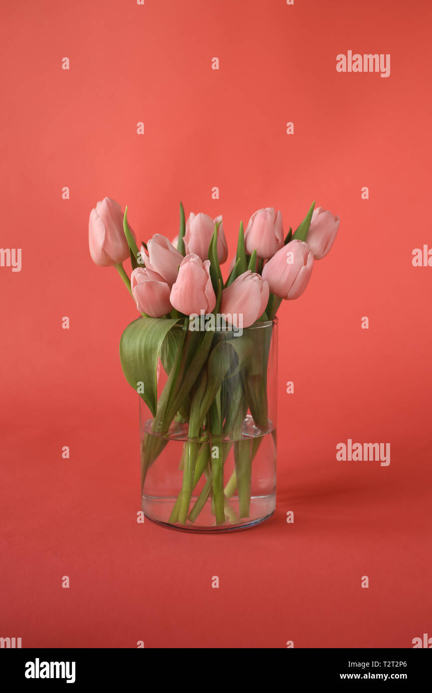 Woman laying on pink hi-res stock photography and images - Alamy