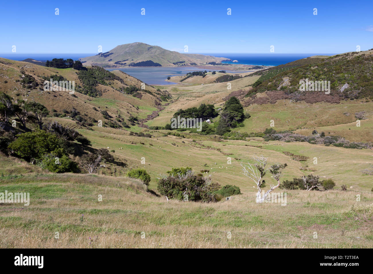 Otago scenic hi-res stock photography and images - Alamy