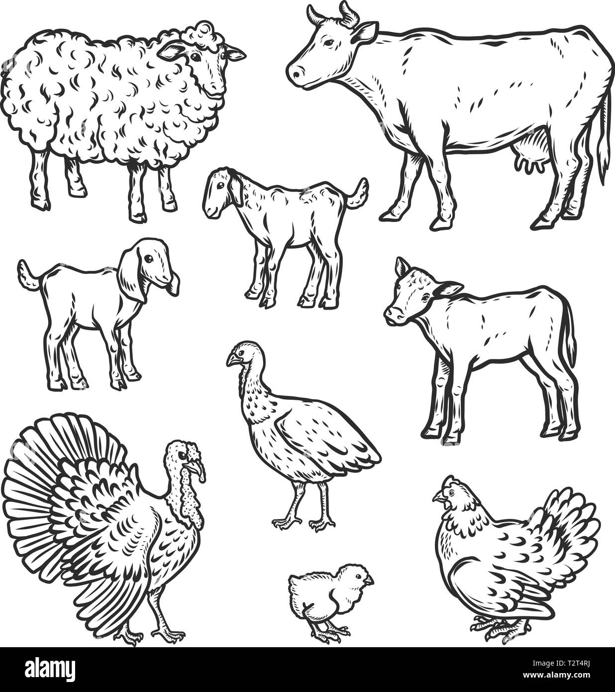 Farm animals detailed icon set. Outline nand drawn illustration of 9 ...