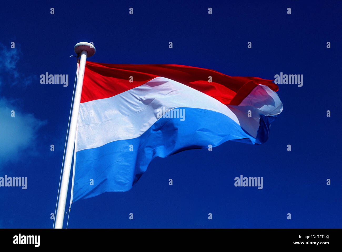 Dutch flag waving in the wind Stock Photo - Alamy