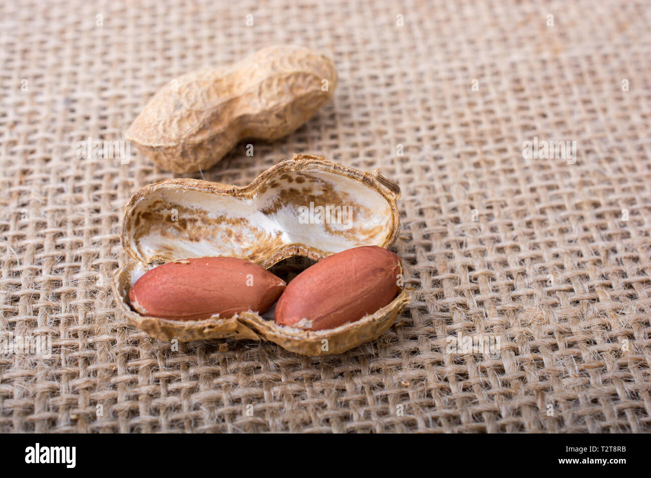 Cracked open peanuts with shell on a linen canvas background Stock ...