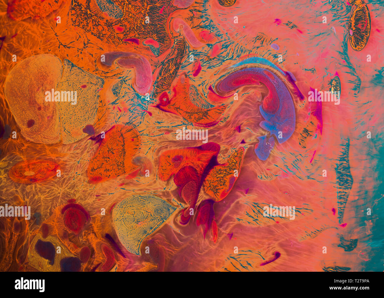Traditional Ottoman Turkish abstract marbling art patterns as ...
