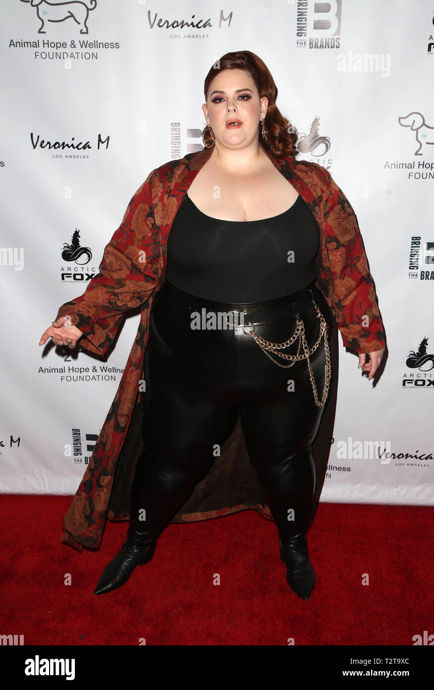 The Animal Hope & Wellness Foundation's 2nd Annual Compassion Gala ...