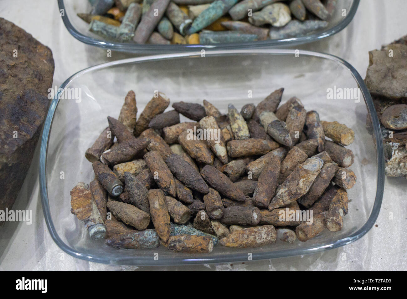 Old rusty bullet ammunition from the dardanelles war Stock Photo - Alamy