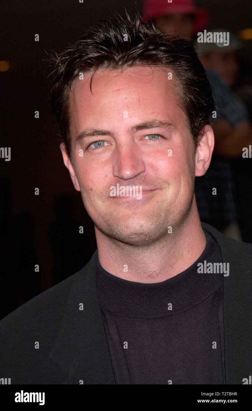 Matthew Perry 2000