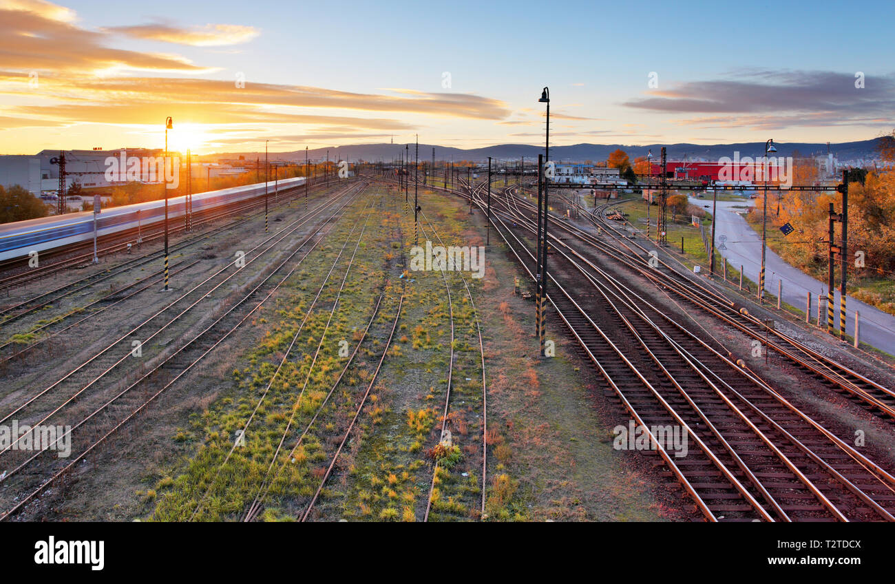 Railroad with train - Railway at sunset with sun Stock Photo - Alamy