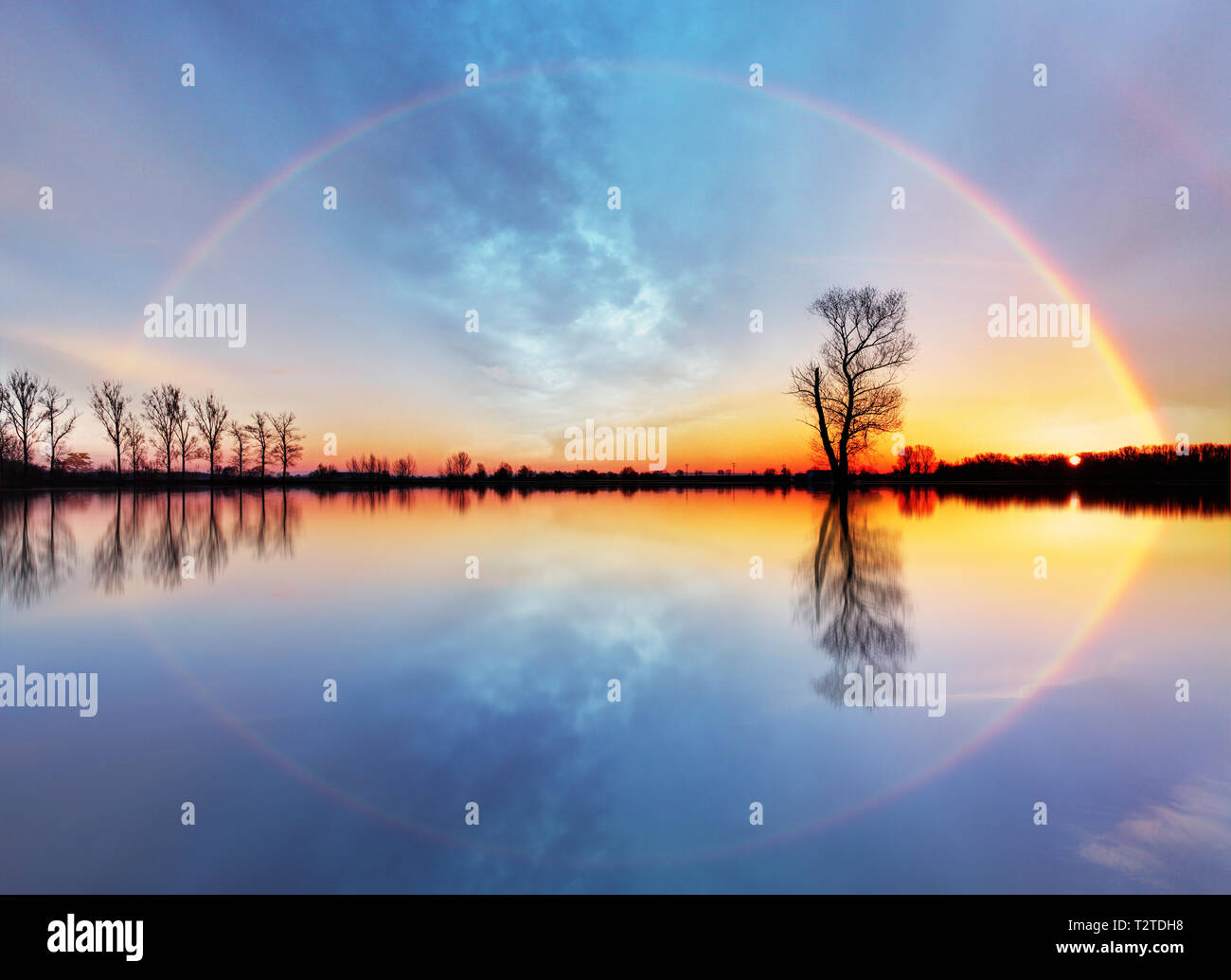 Tree and sun on lake sunrise Stock Photo - Alamy