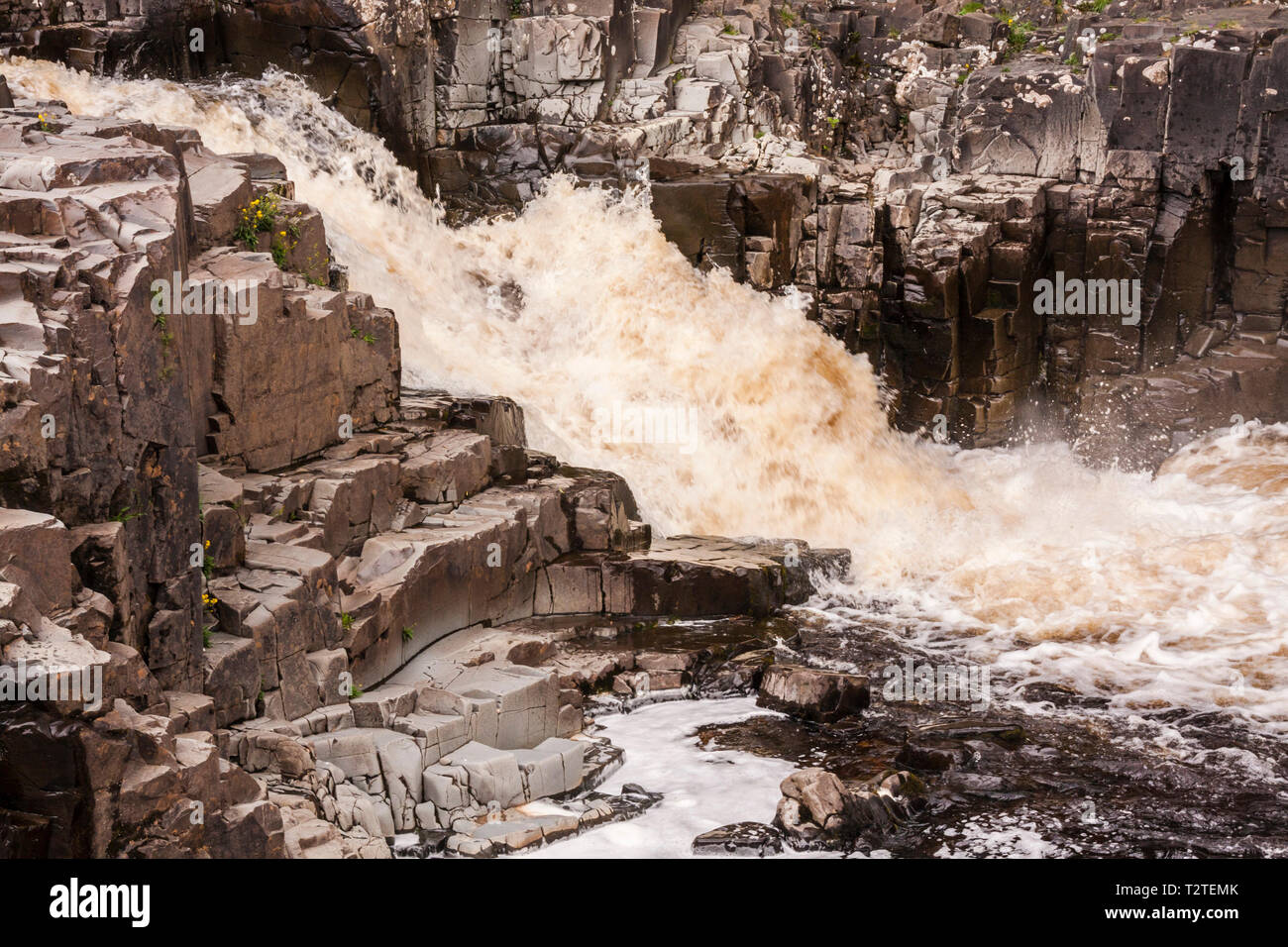 A scenic view of the Low Force waterfalls in Teesdale in north east ...