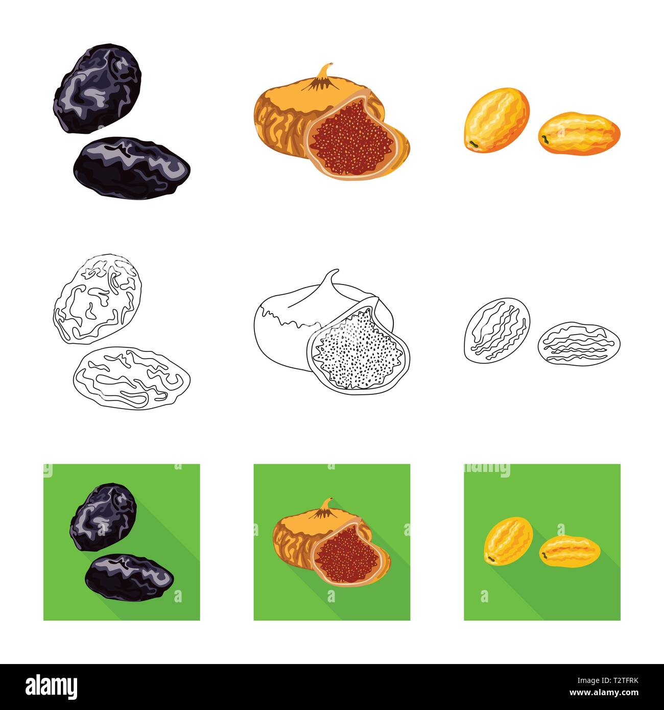 Vector illustration of food and raw icon. Collection of food and nature ...