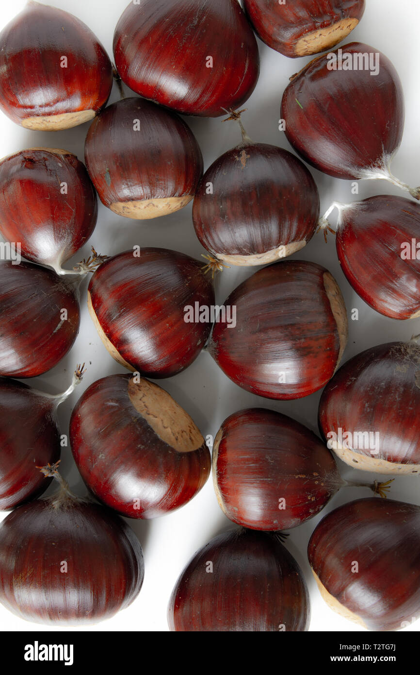 Sweet chestnut fruits hi-res stock photography and images - Alamy