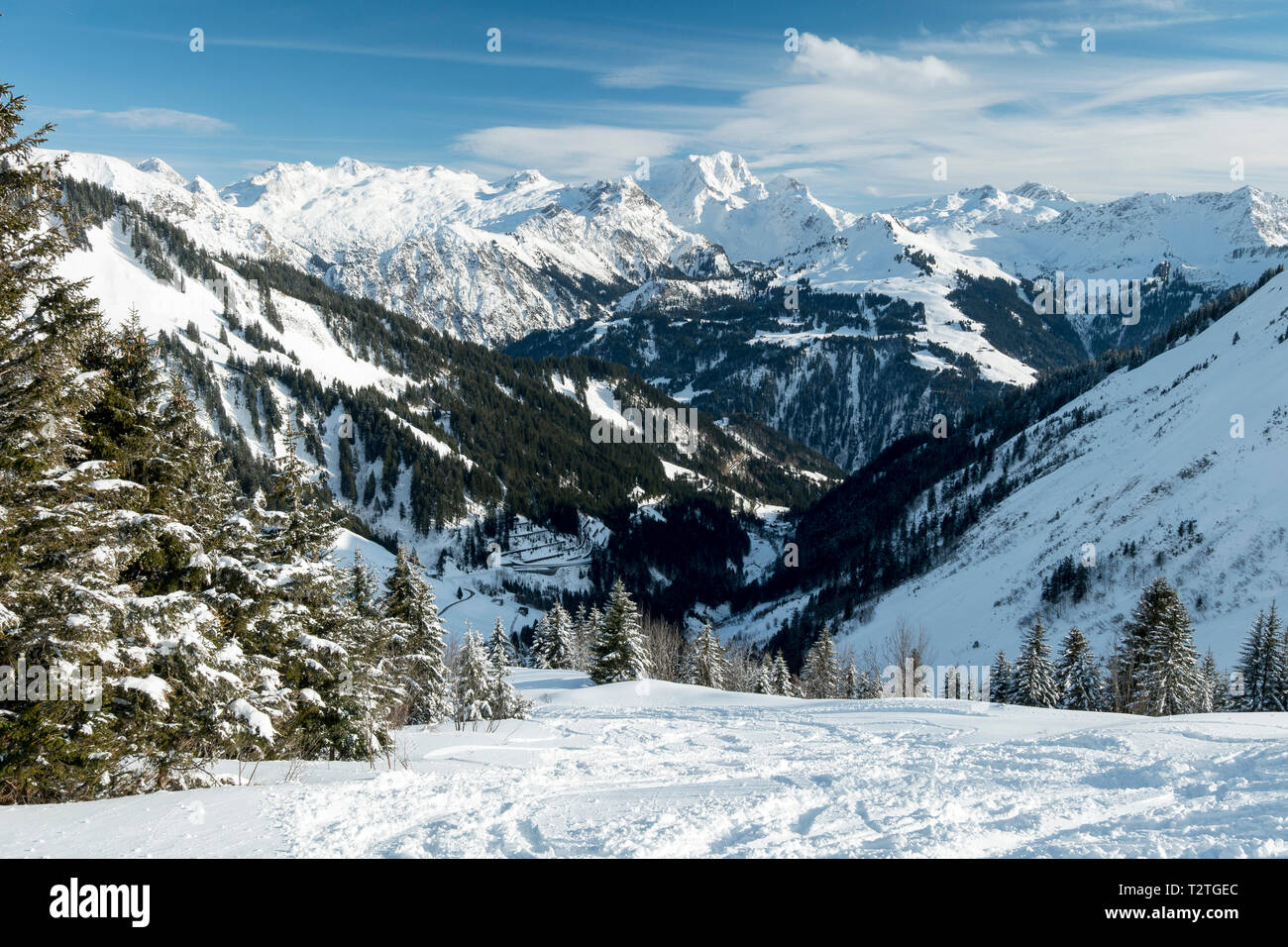 Biosphere park grosses walsertal hi-res stock photography and images ...