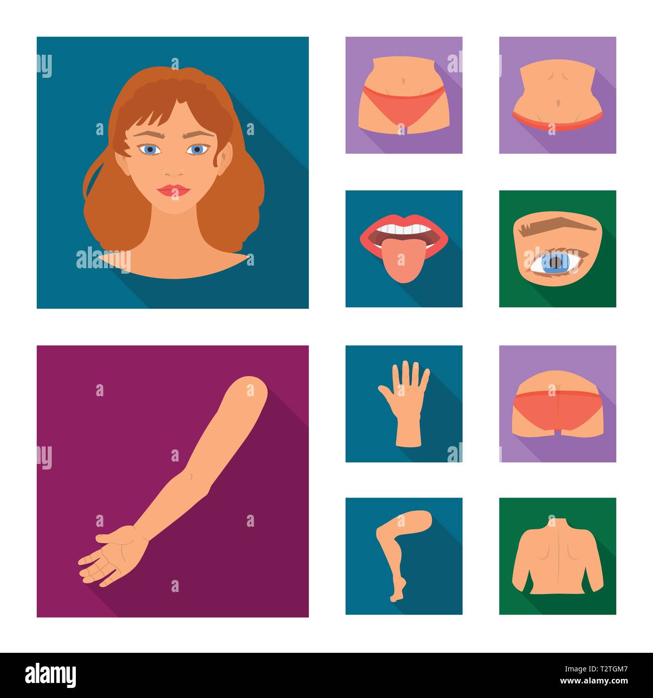 Vector illustration of body and part icon. Collection of body and ...