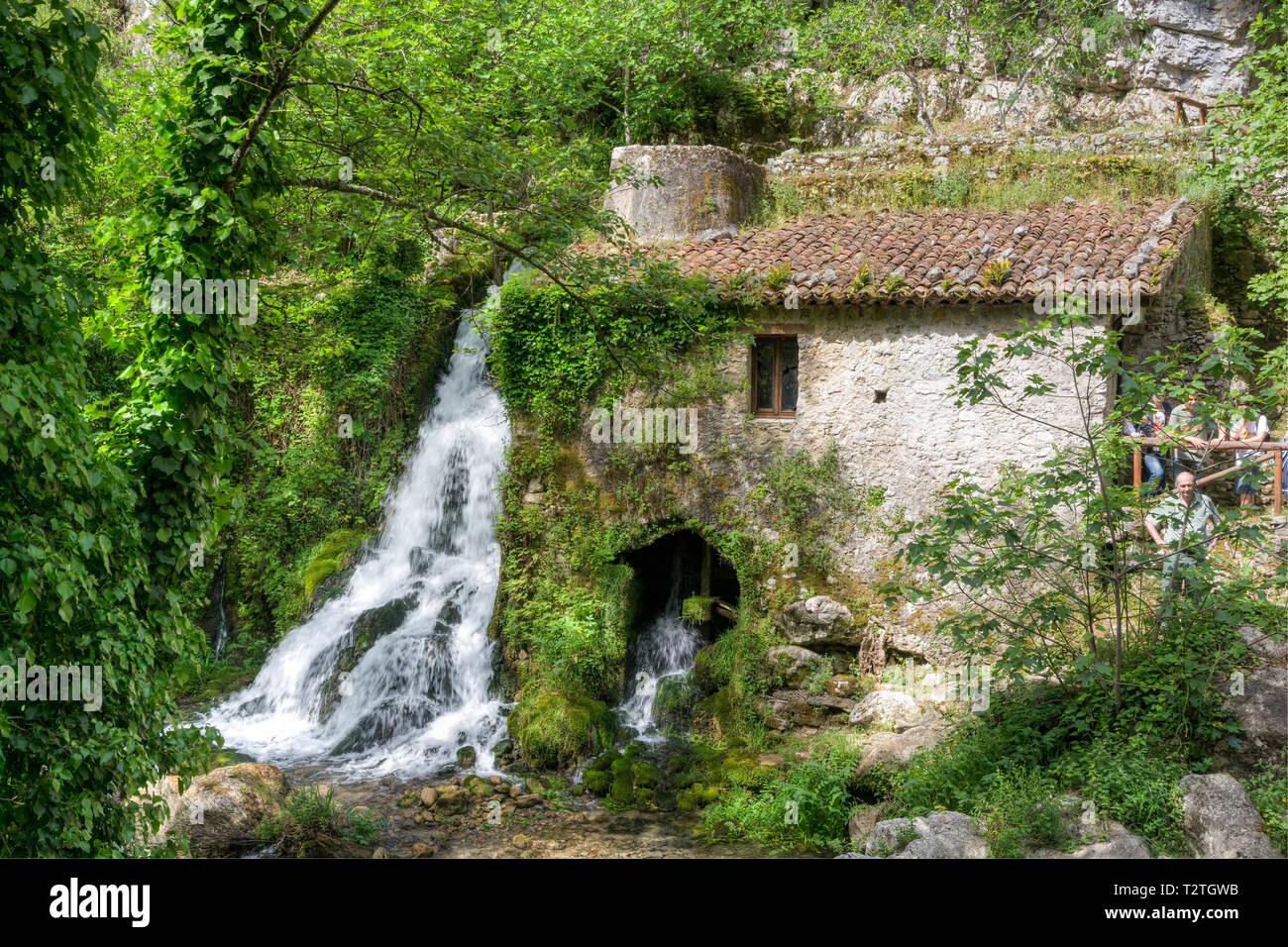 Italy, Campania, Cilento National Park, Bussento River WWF natural ...