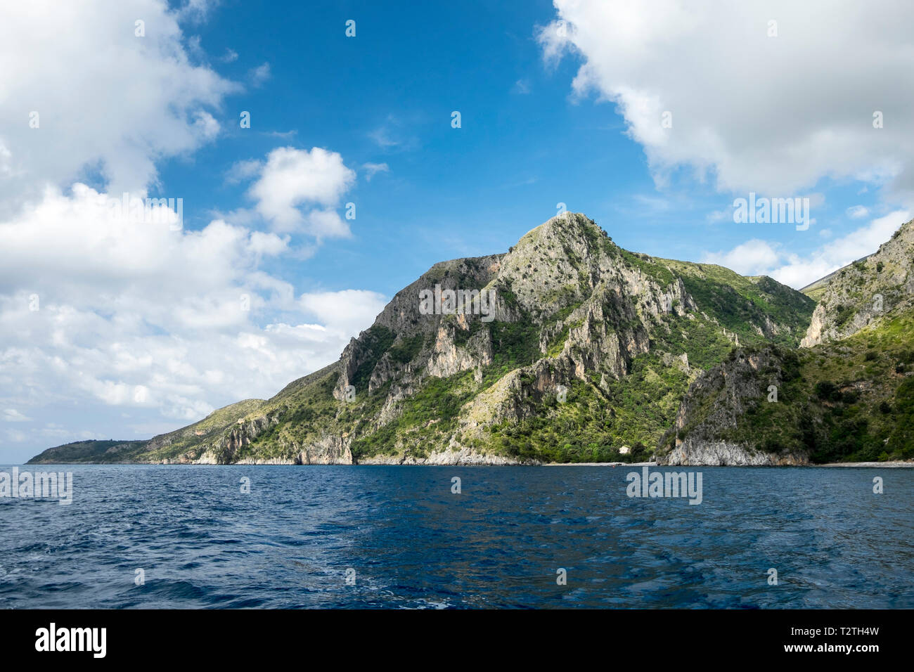 Masseta hi-res stock photography and images - Alamy