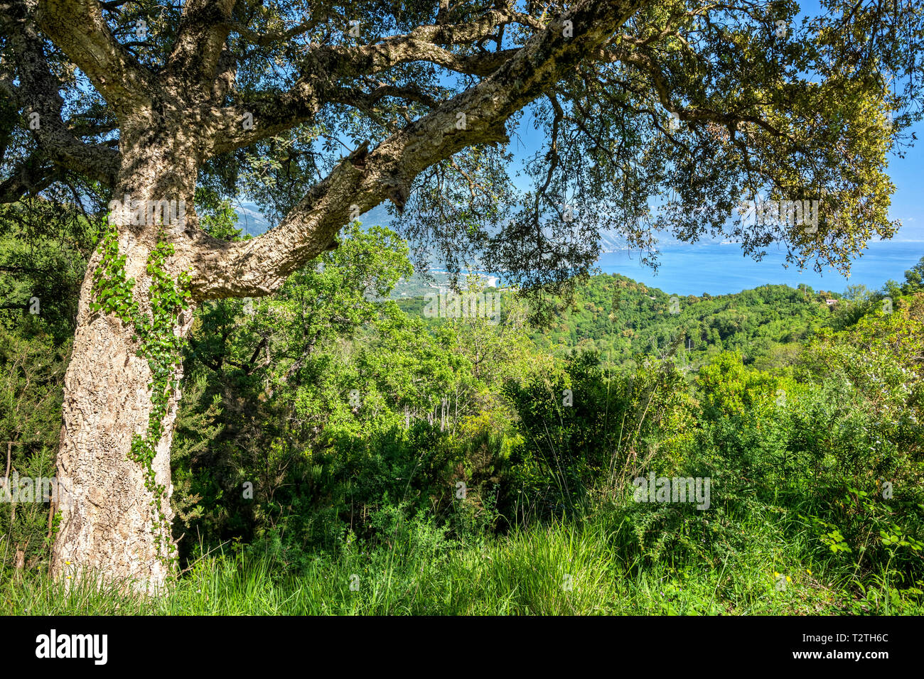 Cilento park hi-res stock photography and images - Alamy