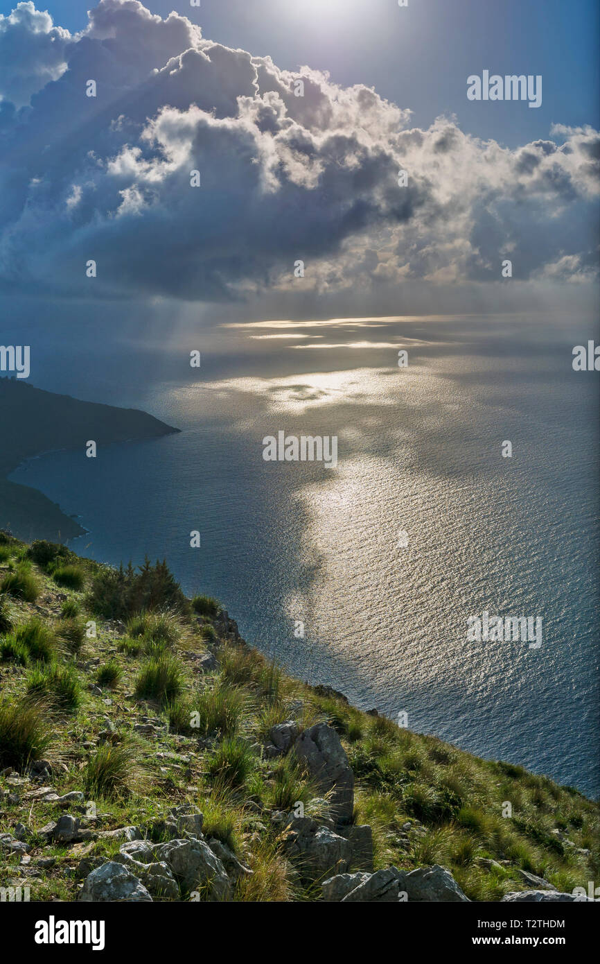 Masseta hi-res stock photography and images - Alamy