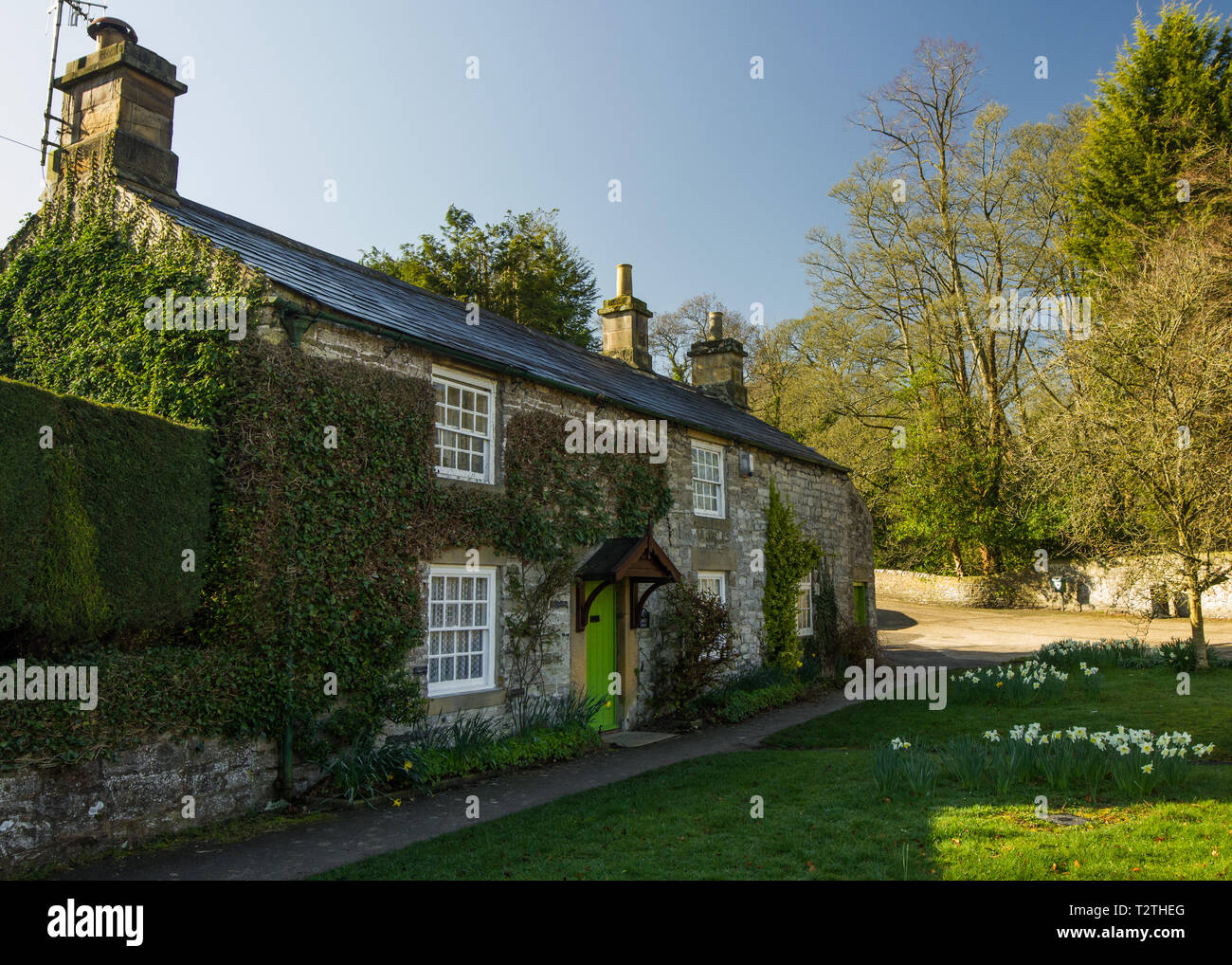 Ivy covered cottages hi-res stock photography and images - Alamy