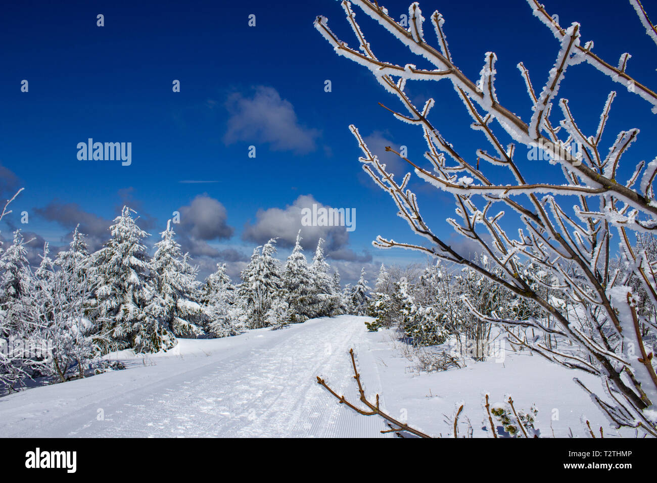 winter landscape at the Fichtelberg, Oberwiesenthal, Germany Stock ...