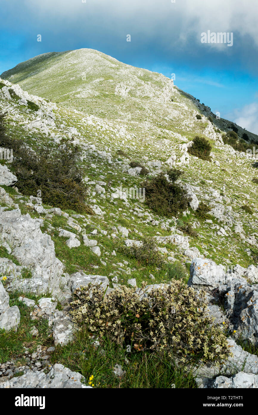 Cilento park hi-res stock photography and images - Alamy