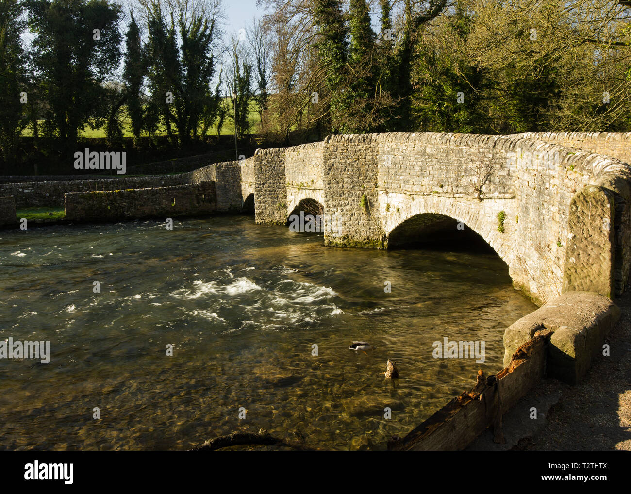 Sheep bridge spring hi-res stock photography and images - Alamy