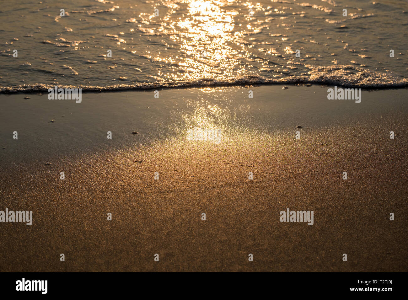 Tropical climate beach sand wave in sunrise morning Stock Photo - Alamy