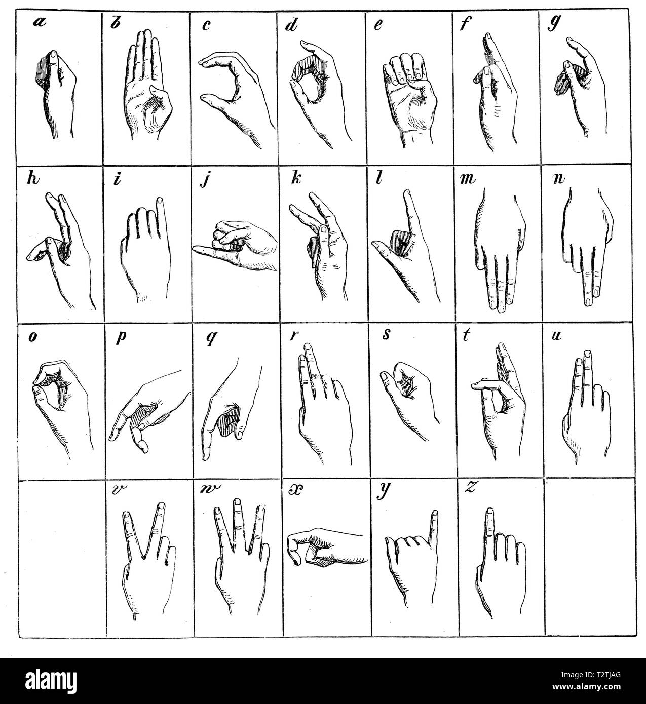 Finger anatomie hi-res stock photography and images - Alamy