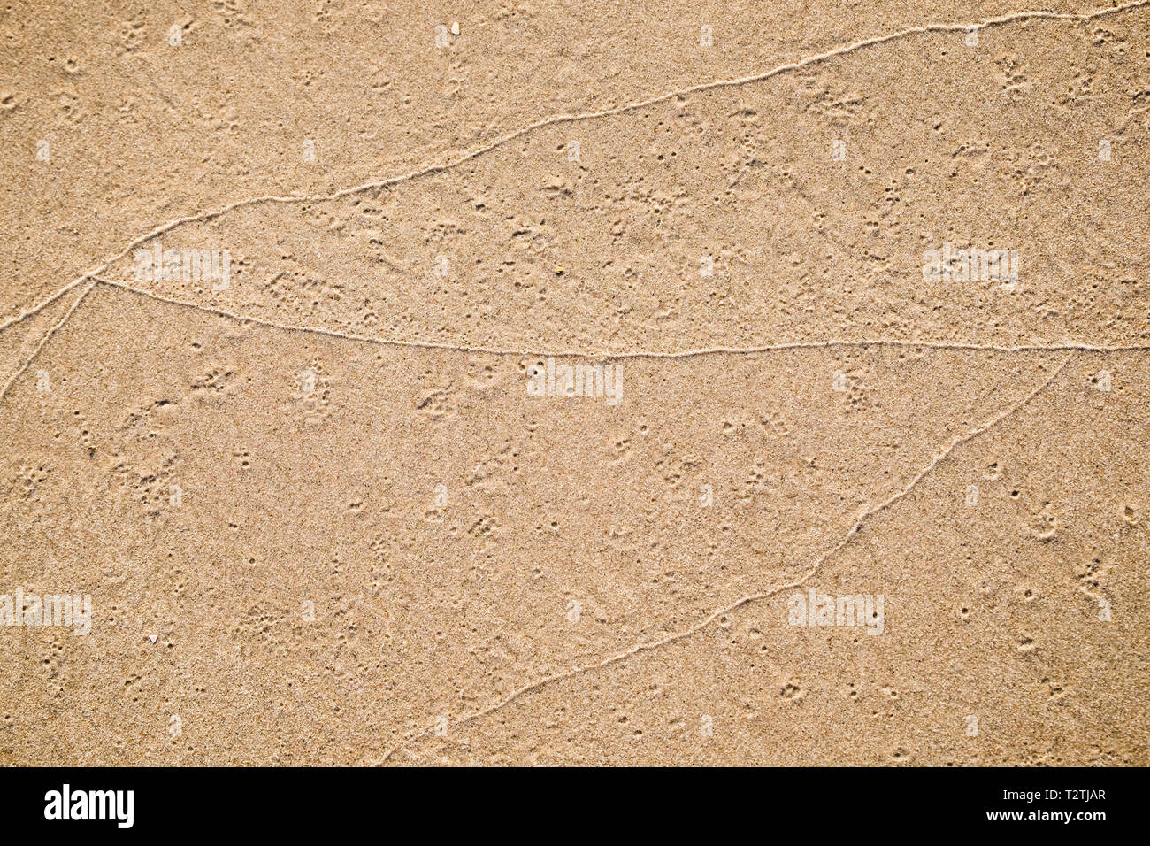 Golden brown sand on the beach Stock Photo - Alamy