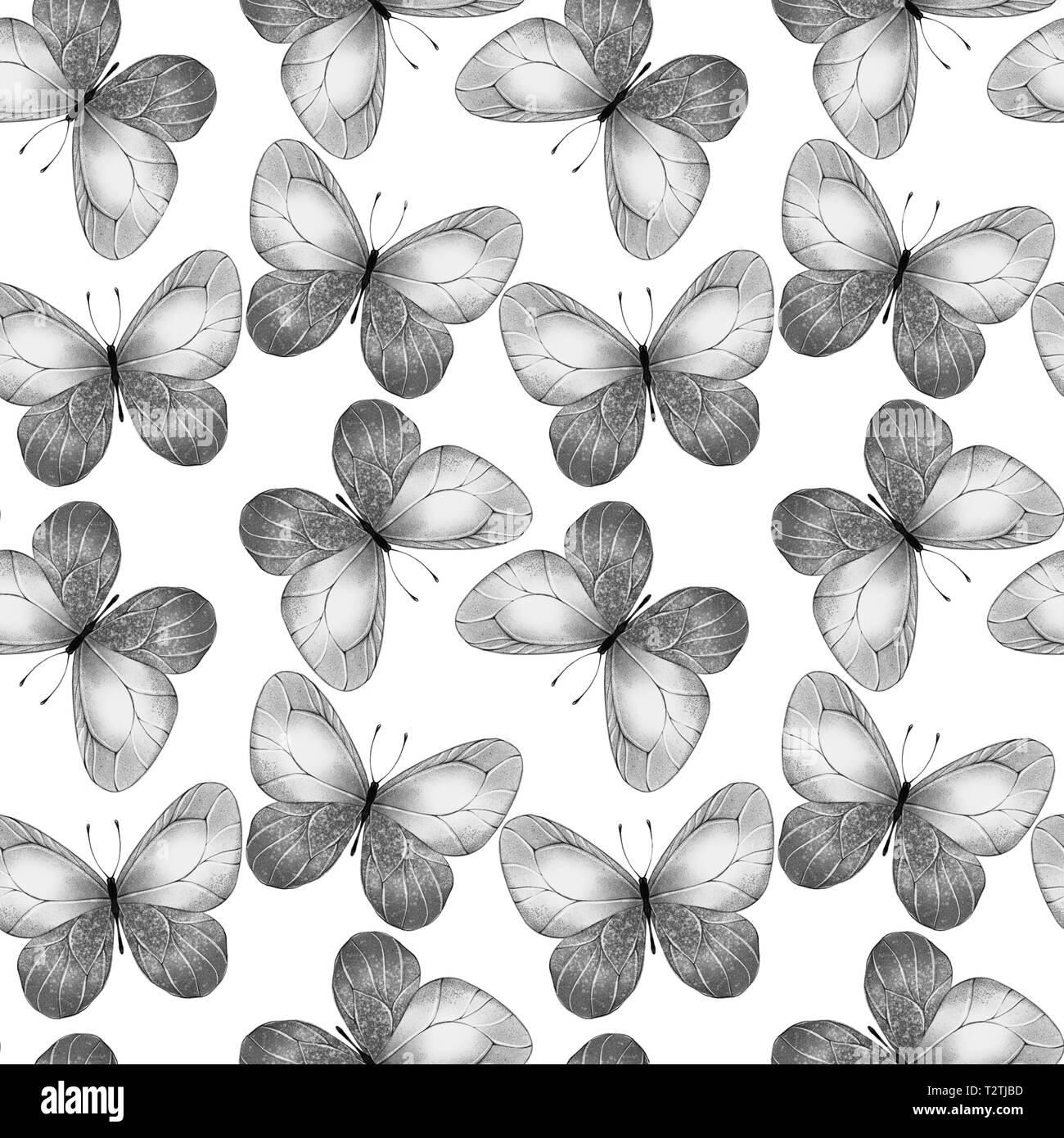 Butterfly monochrome hi-res stock photography and images - Alamy