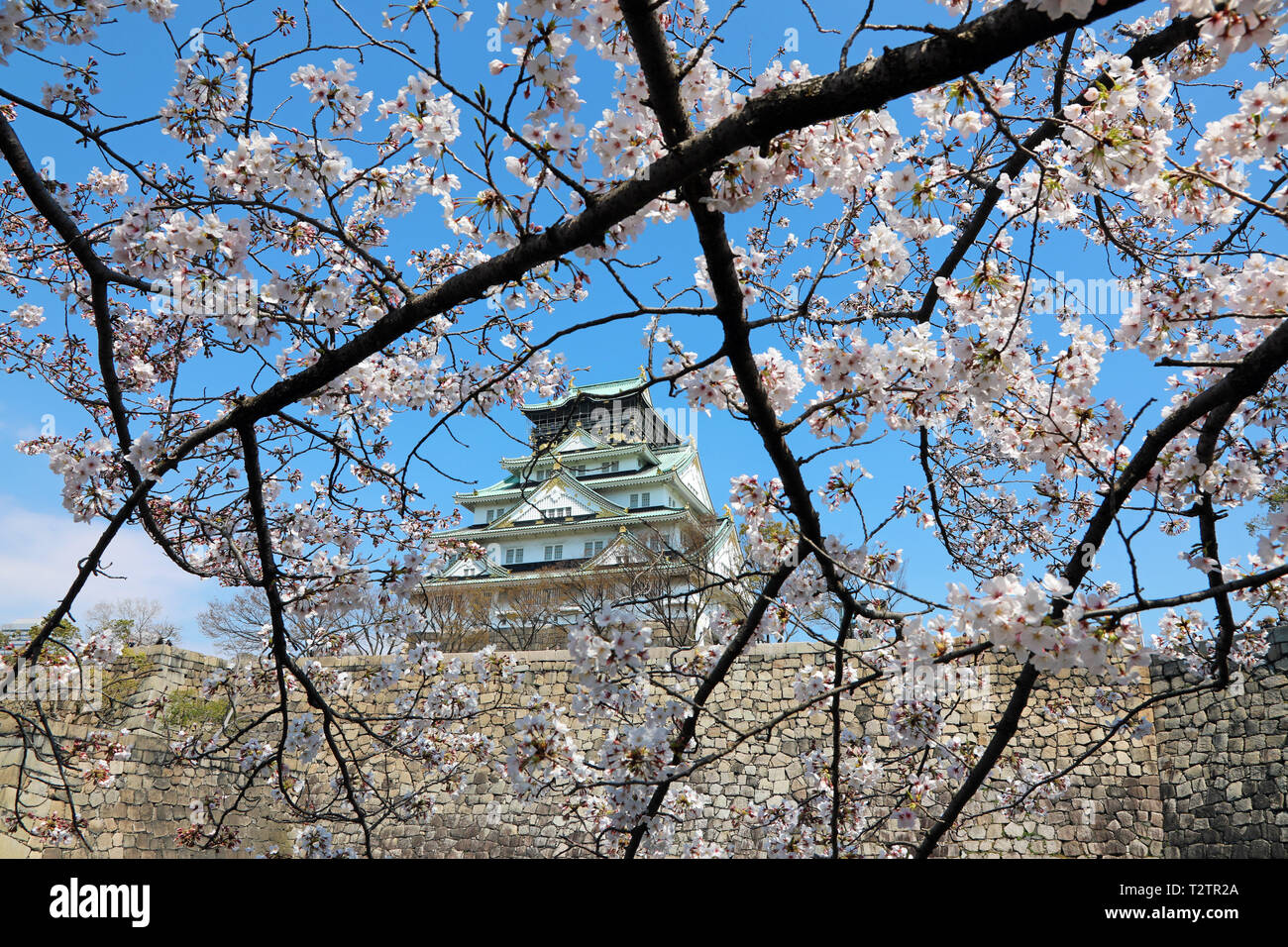 Osaka, Japan. 4th Apr, 2019. Osaka Castle seen through the branches of ...