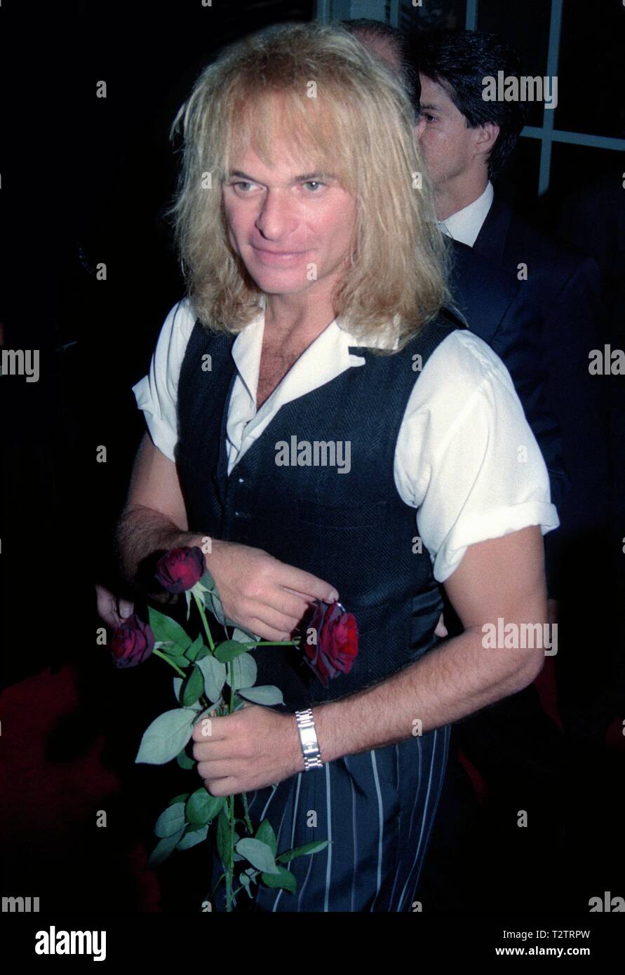 David Lee Roth 1992 Madonnaâ€™s â€œSexâ€ Book Signing 1992 Photo By ...