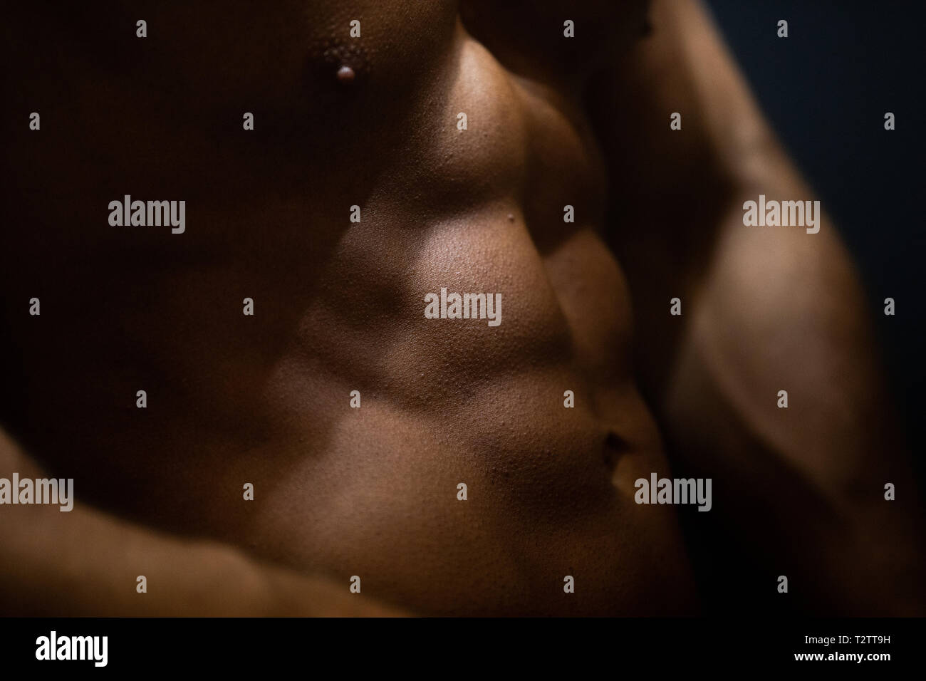 Six pack abs hi-res stock photography and images - Alamy
