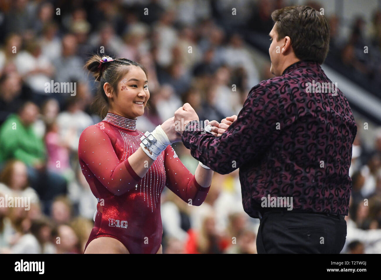 Tiarre hi-res stock photography and images - Alamy