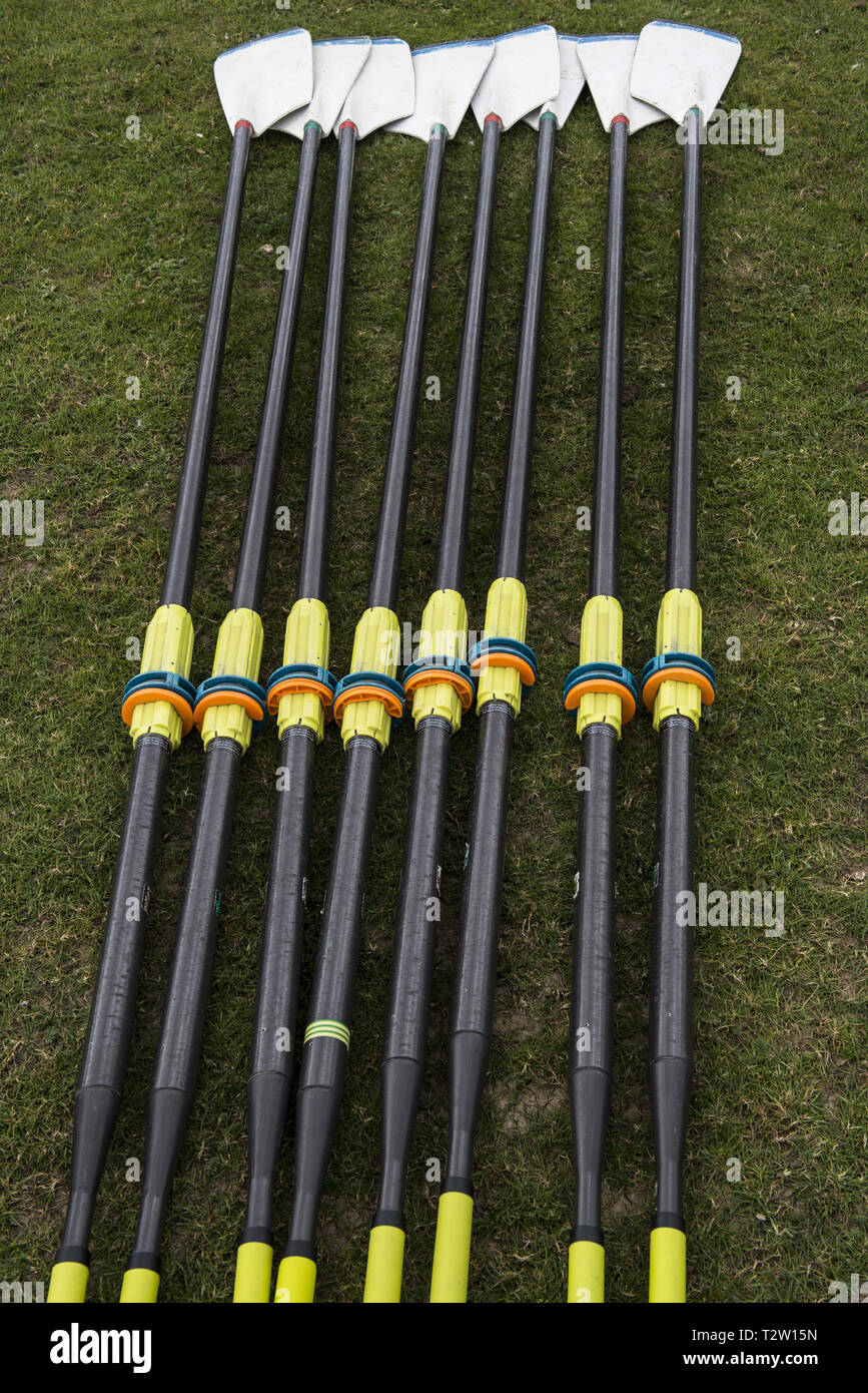 2017, River Thames, London England; Oar Blades of the New College Crew ...