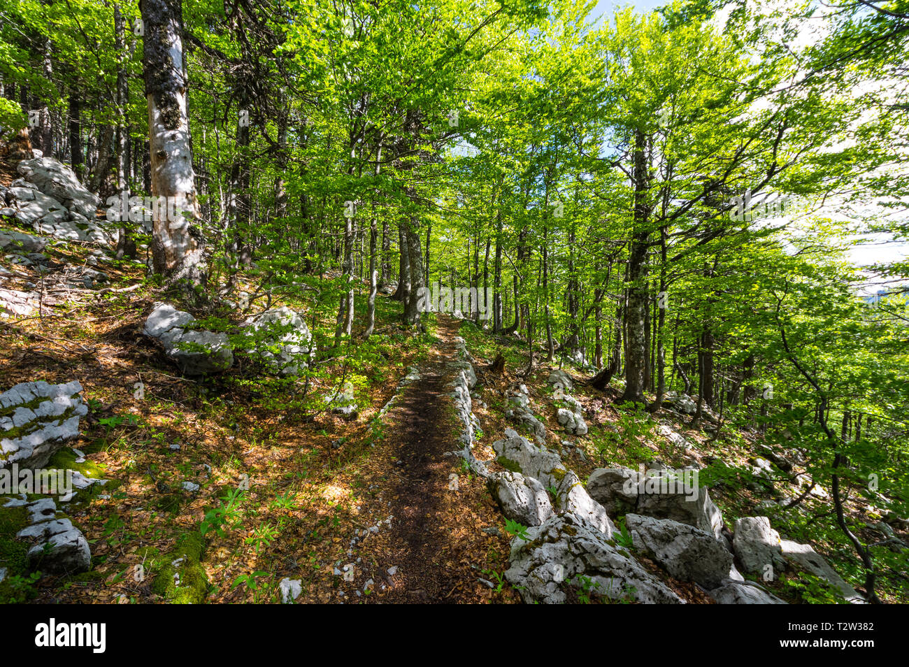 National park Sjeverni Velebit. One of the most beautiful parts of ...