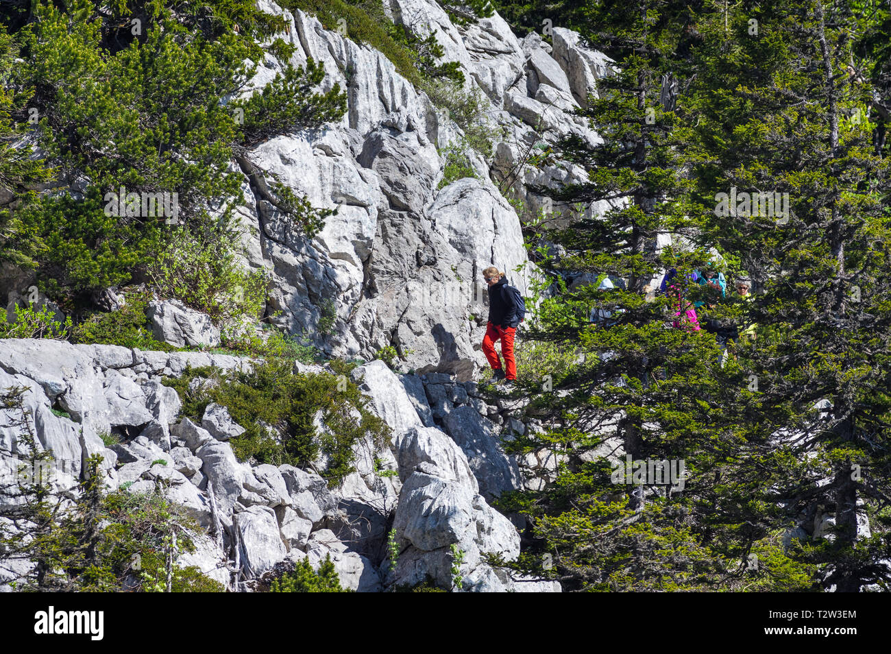 National park Sjeverni Velebit. One of the most beautiful parts of ...
