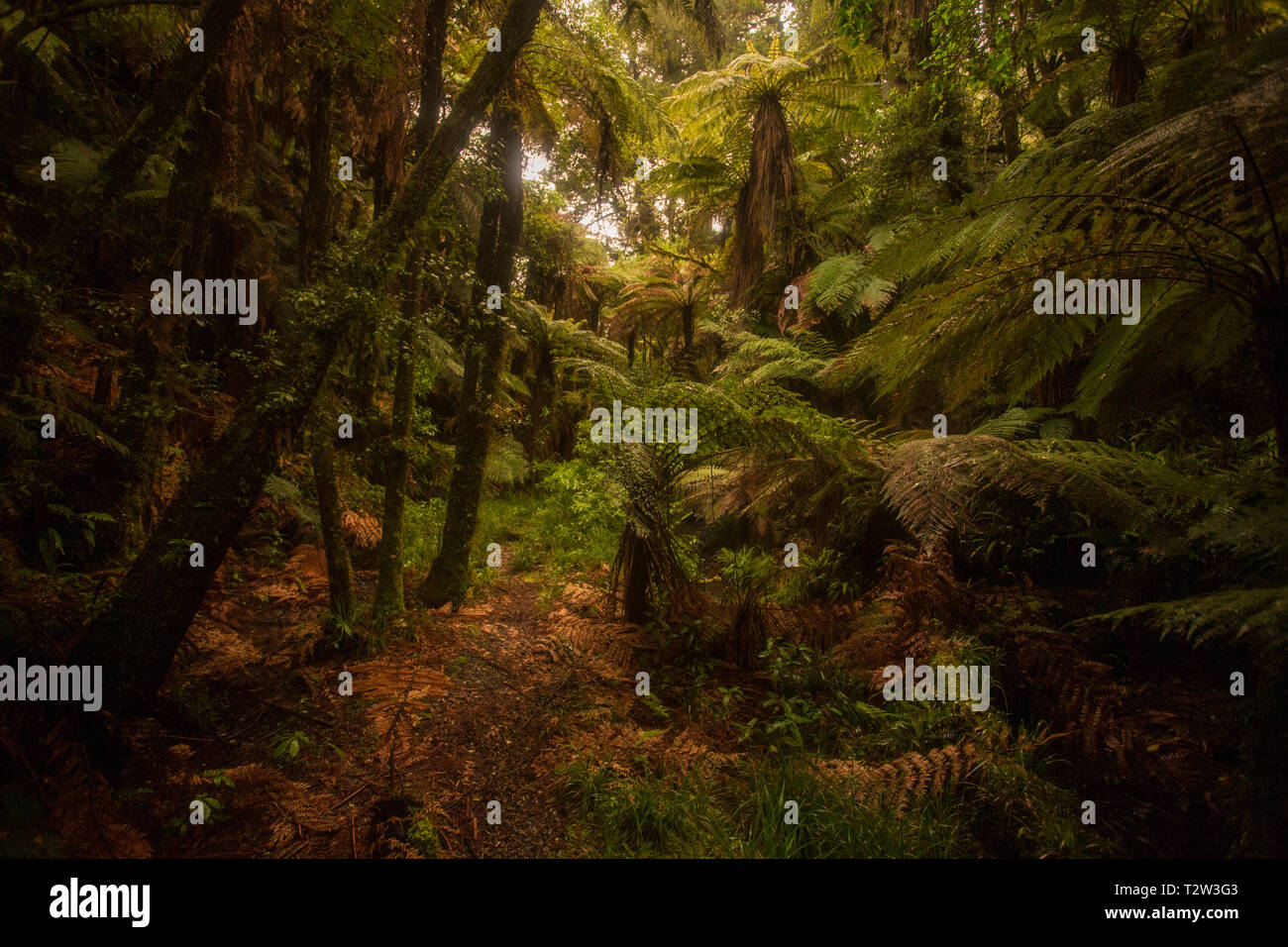 Mangamate hi-res stock photography and images - Alamy
