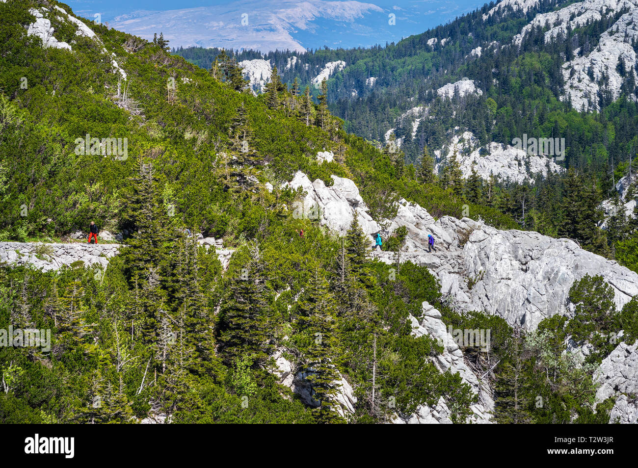 National park Sjeverni Velebit. One of the most beautiful parts of ...
